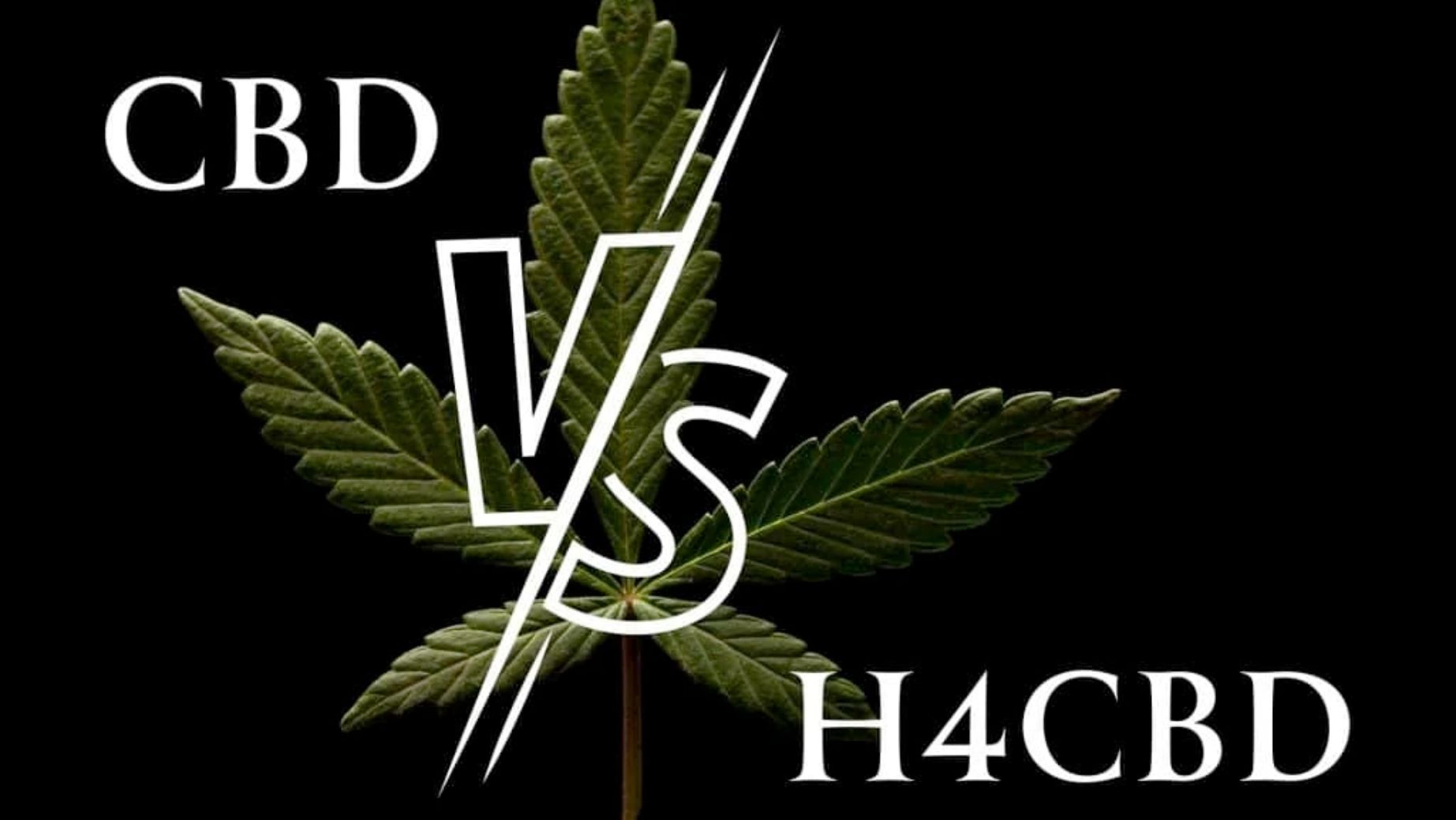 H4CBD vs CBD: Warum ist H4CBD besser? - Kratomit.eu