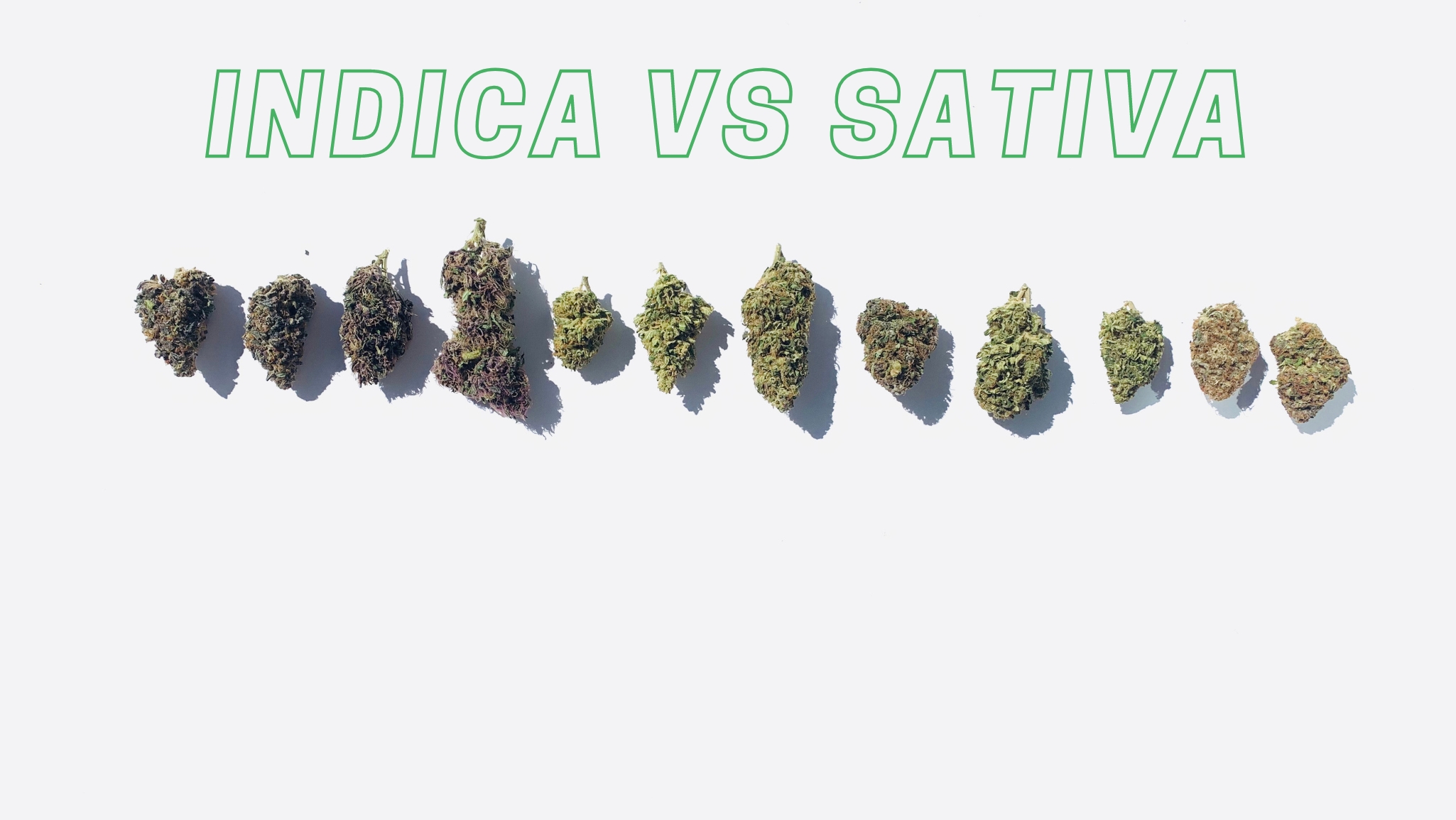 Indica vs Sativa: What is the difference between them? - Kratomit.eu